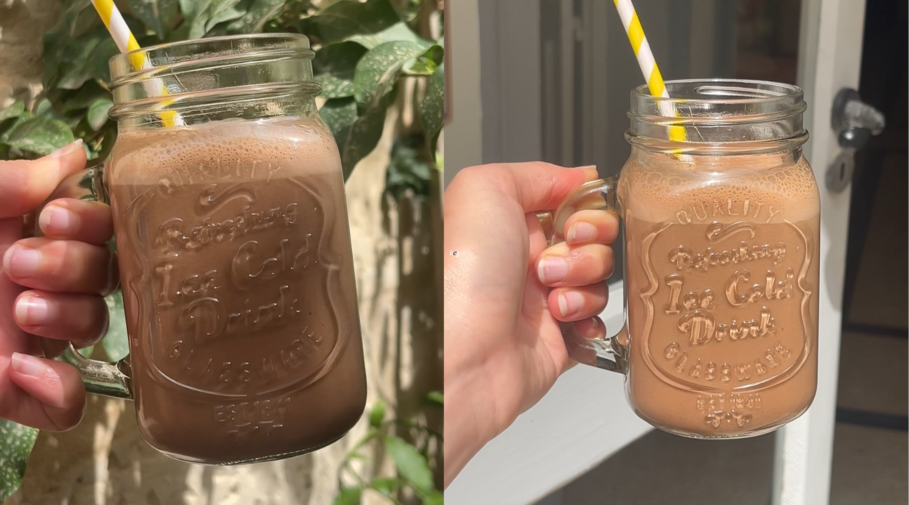 Antioxidant Mocha Longevity Shake